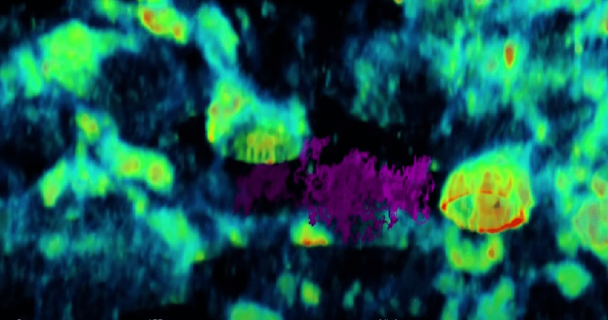 Pomalo jeziva snimka koju vjerojatno još niste vidjeli: Pogledajte kako ...