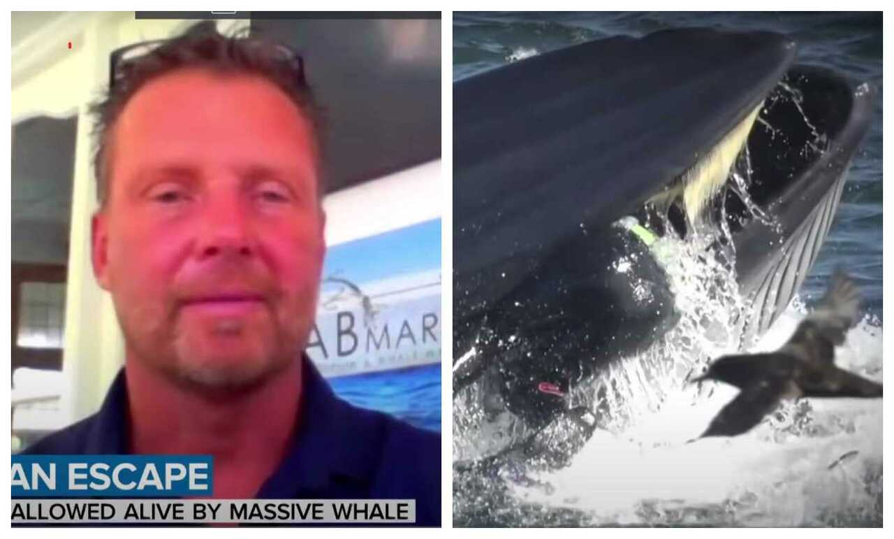 Tip je prepričao jezivi trenutak u kojem je shvatio da ga je kit ...