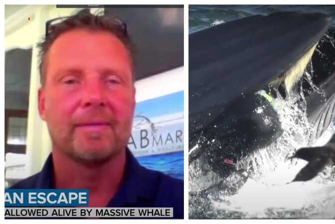 Tip je prepričao jezivi trenutak u kojem je shvatio da ga je kit ...